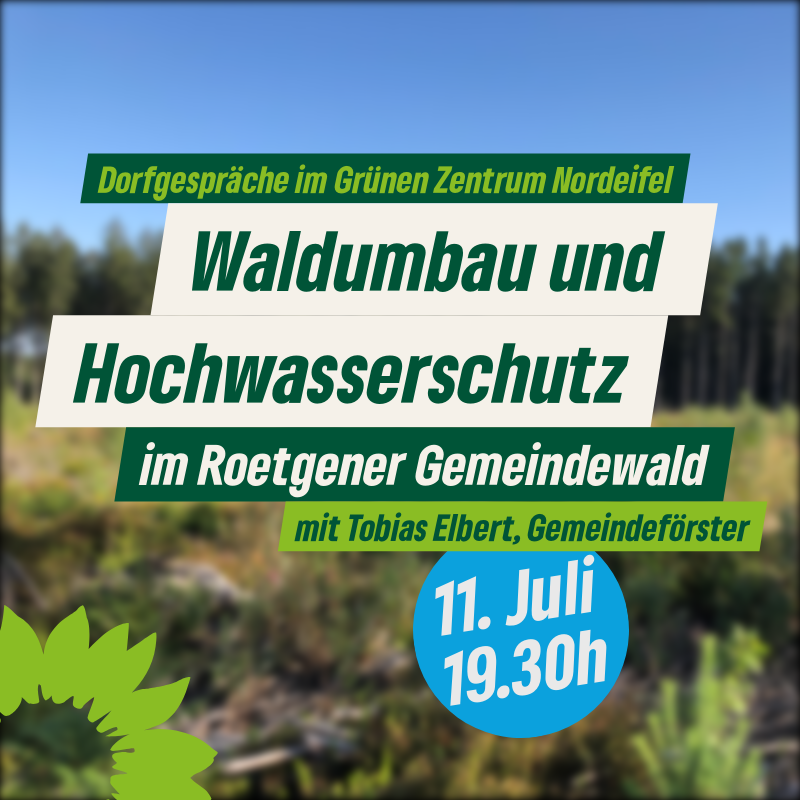 Die Grünen - Ortsverband Roetgen: Dorfgespräch: Waldumbau und Hochwasserschutz im Roetgener ...